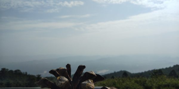 Tour Itinerary – Latehar Tourism®